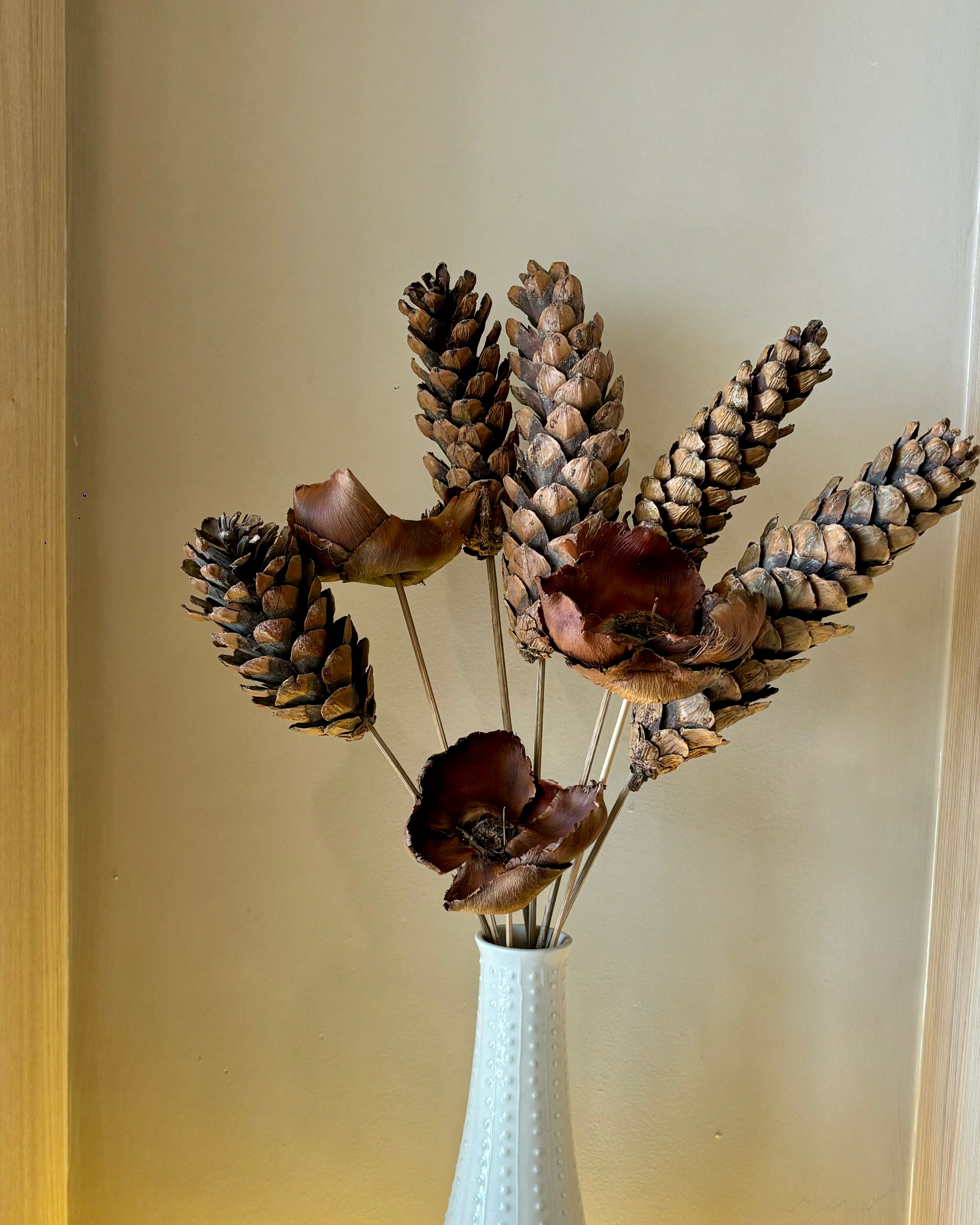 Pinewood dried flower – Casarella