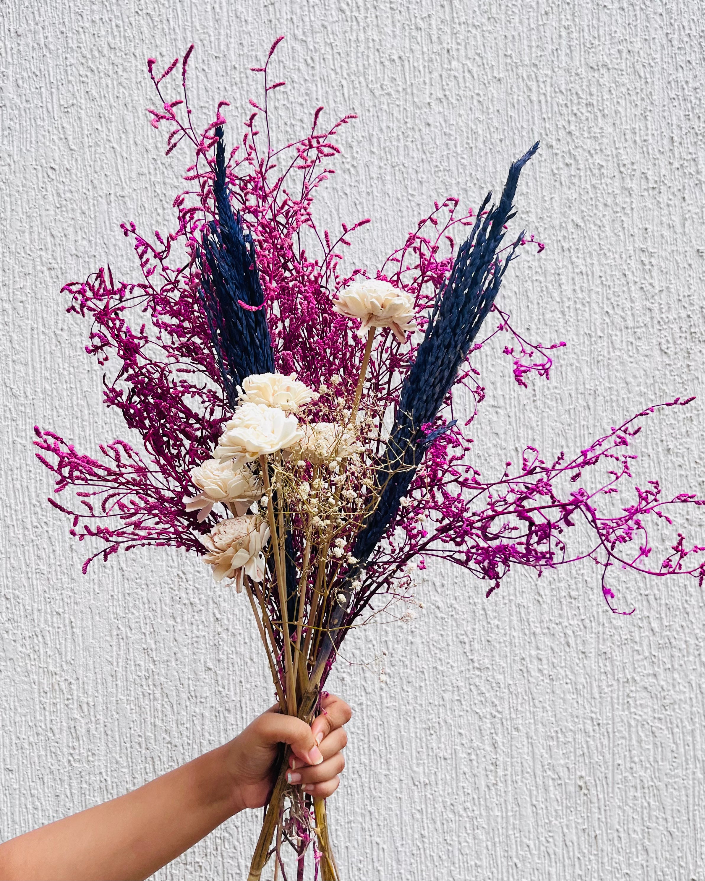 Serena dried flower – Casarella